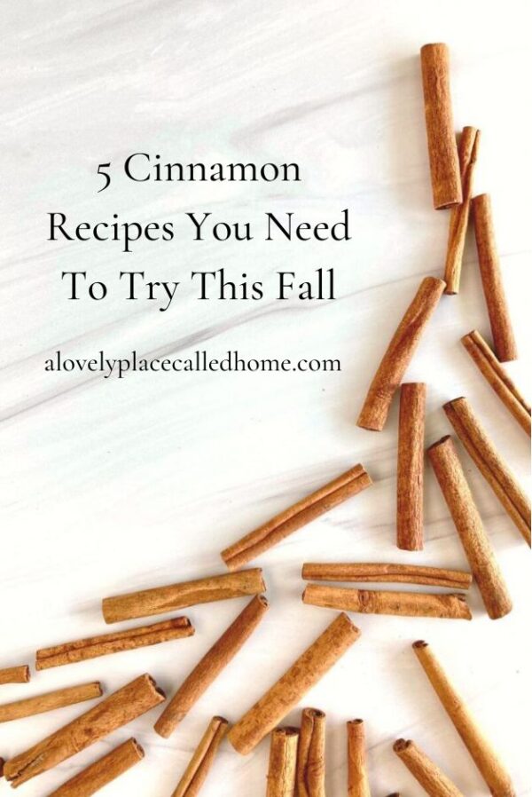 HOW TO USE AND STORE CINNAMON STICKS (+5 cinnamon recipes to try this ...
