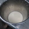 30 BASIC & IMPORTANT REMINDERS FOR NEW DAIRY COW OWNERS - A Lovely ...