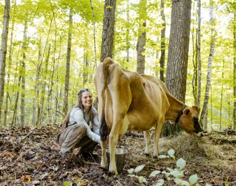 HOW TO KEEP A COW OFF GRID - A Lovely Place Called Home